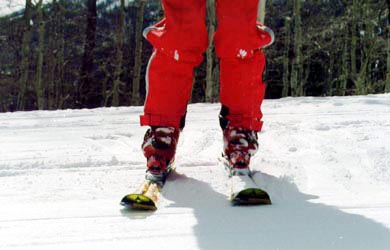 Introduction to Carving - Ski Instructor